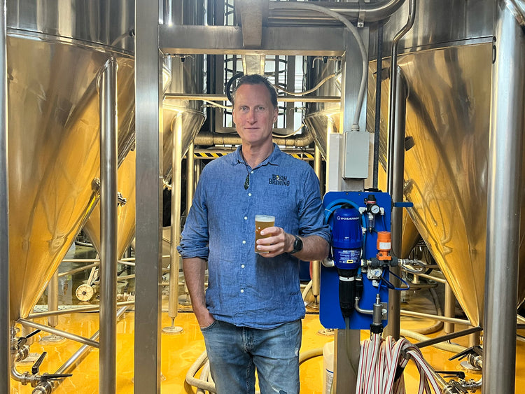 Our Beers – Bach Brewing